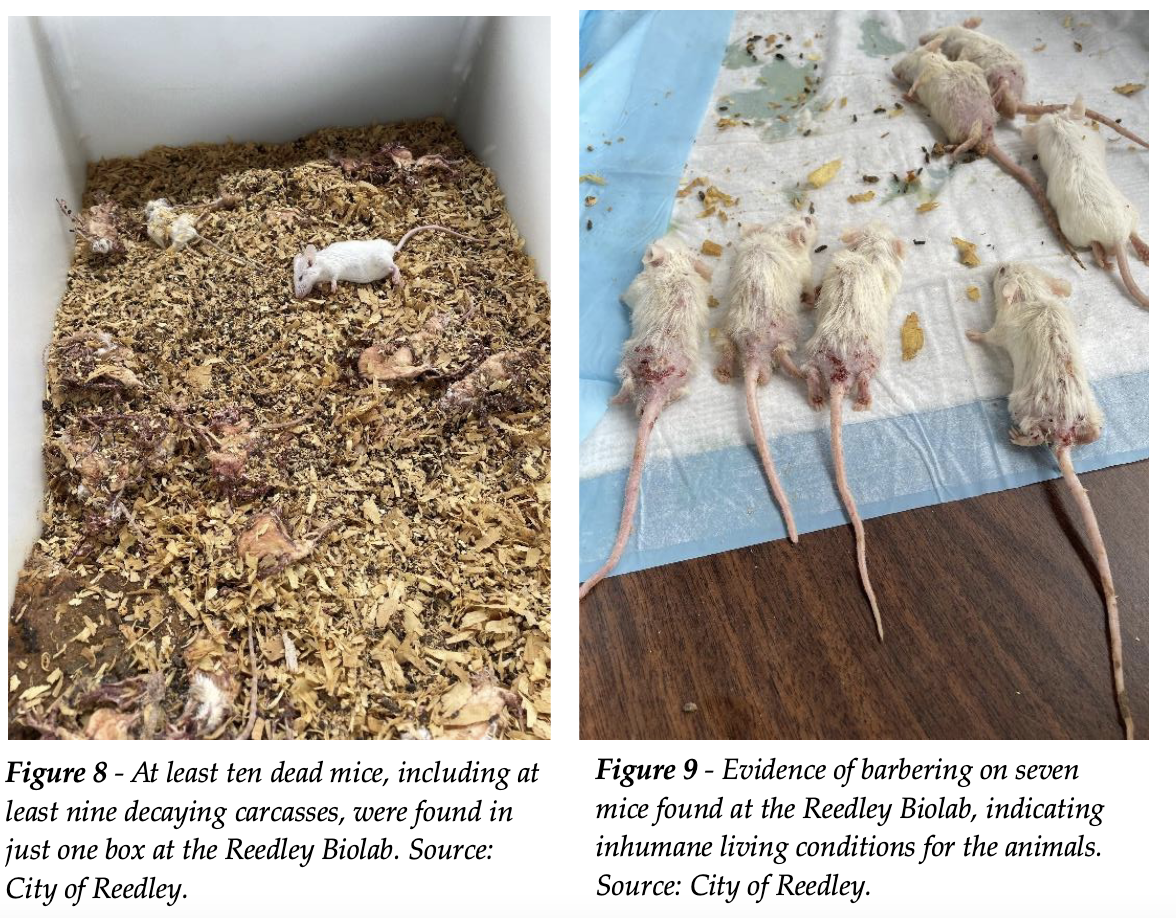 Photos of Chinese Bio Lab | Capitol Quagmire