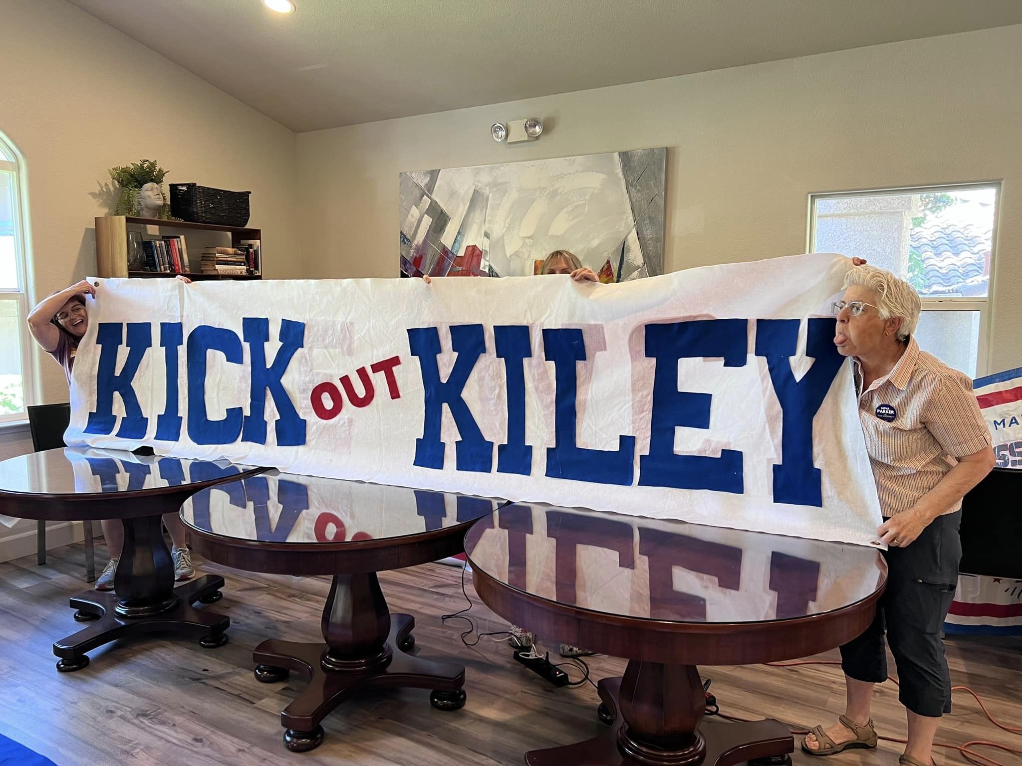 "Kick Out Kiley" Rallies | Capitol Quagmire